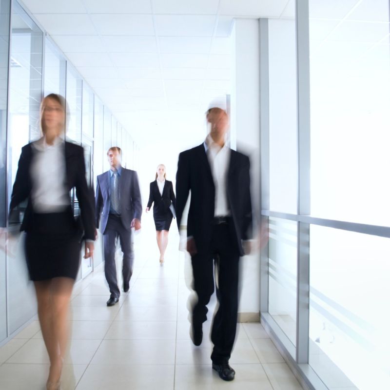 Security Audits – RedLeaf Consultancy